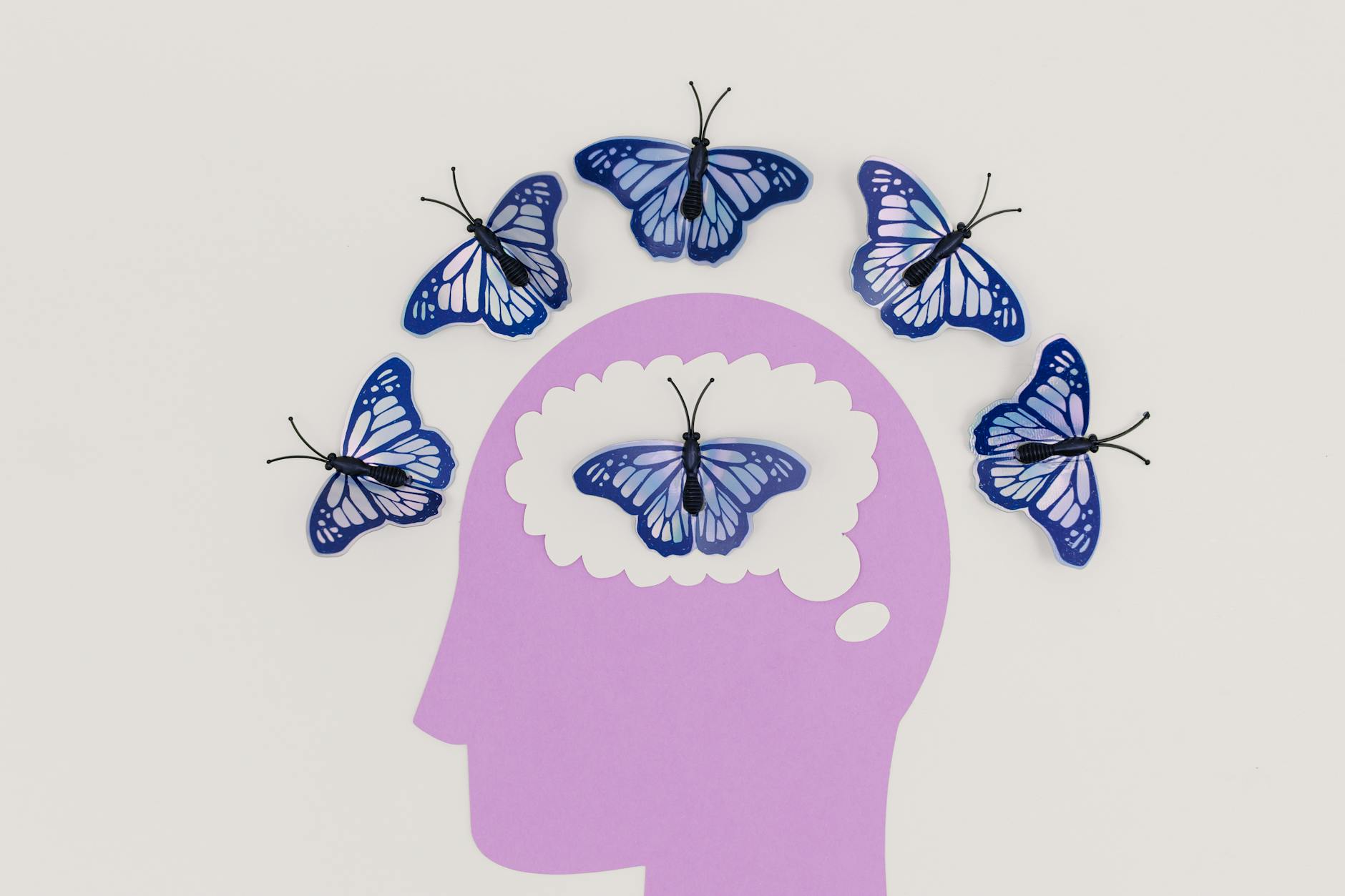 Reactivating a language you learned before – Discover the world through ...
